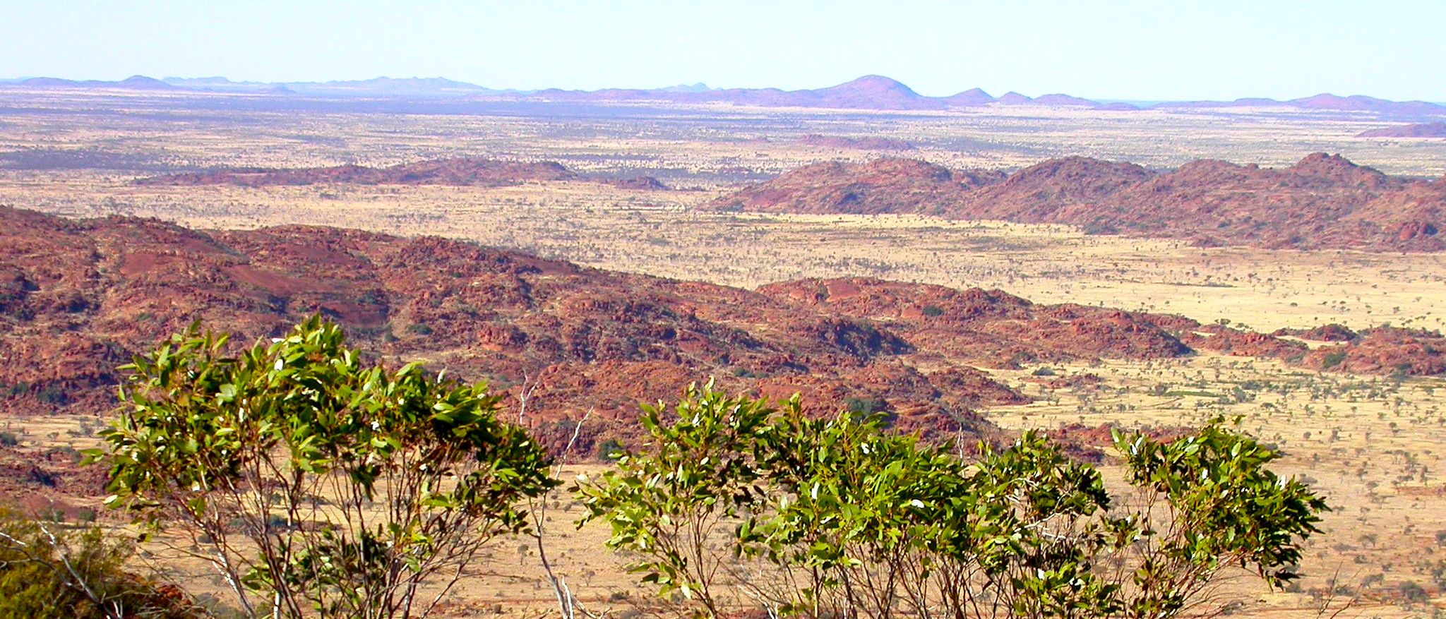 Watarru Indigenous Protected Area, South Australia · iNaturalist