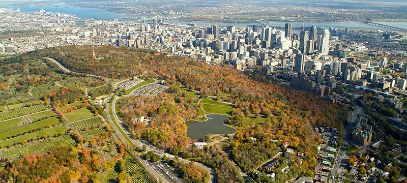 Deciduous Trees of Montreal · NaturaLista Colombia