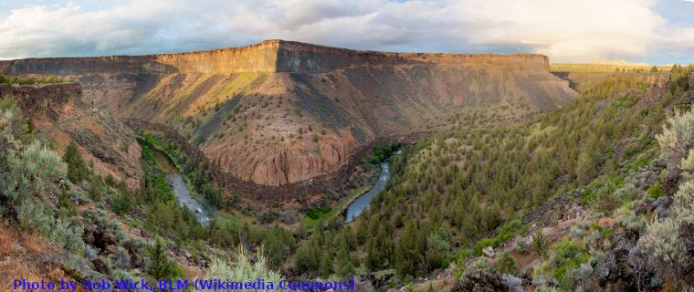 Plants of Central Oregon · BioDiversity4All