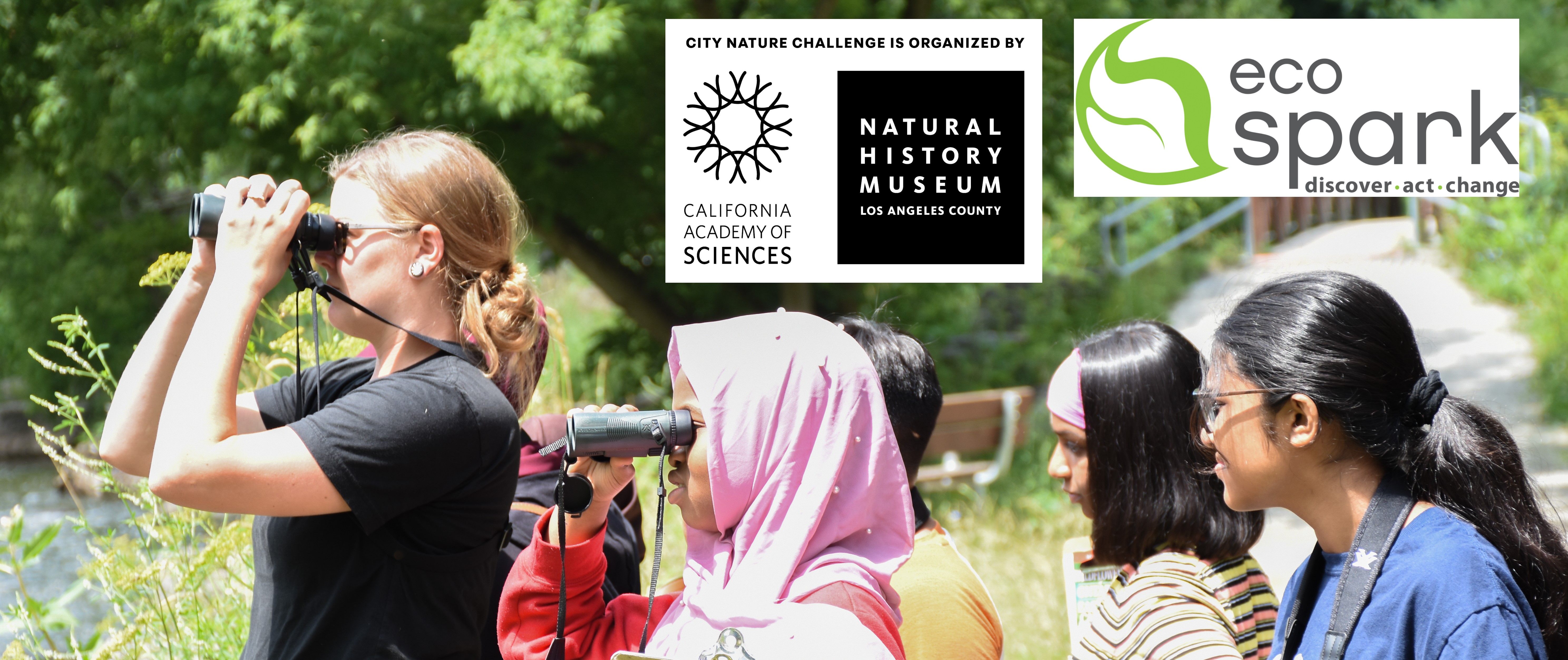 City Nature Challenge 2021: Toronto and GTA · iNaturalist Canada