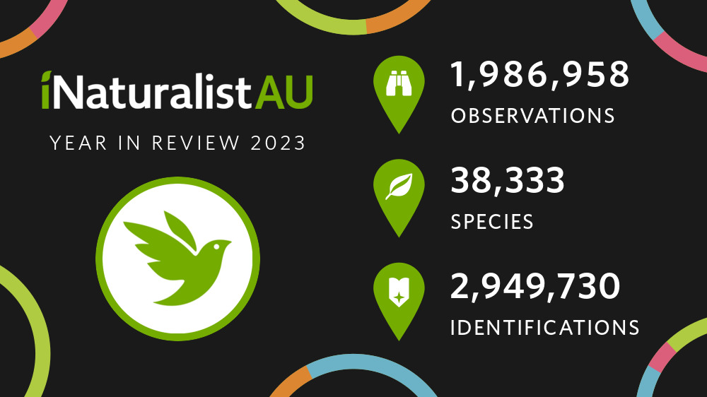 iNaturalist Australia's 2023 Year in Review · iNaturalist Australia