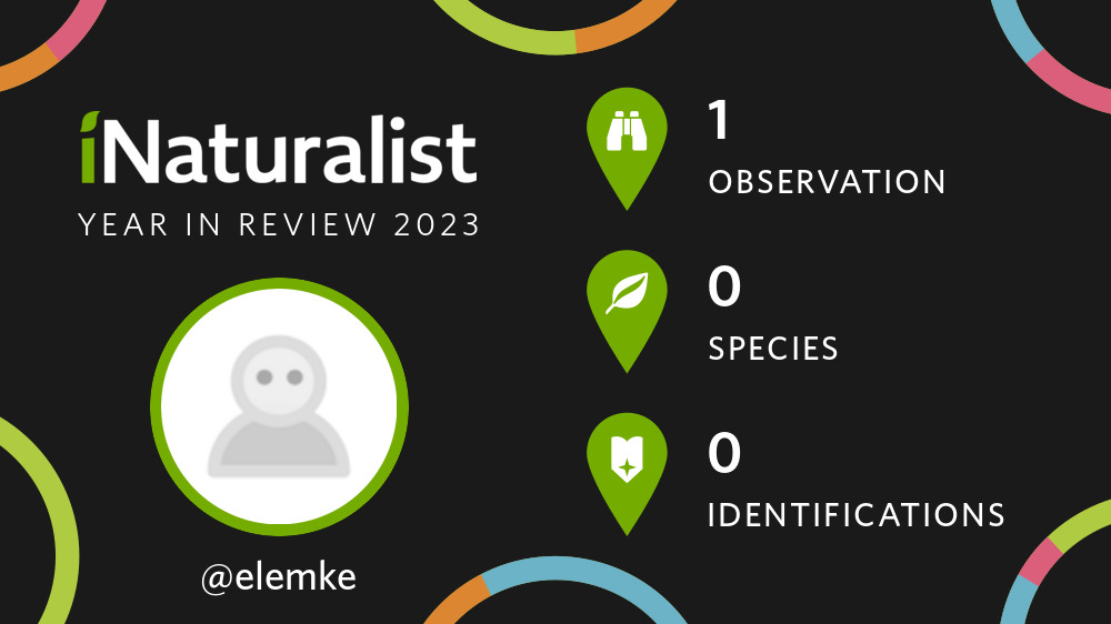 elemke's 2023 iNaturalist Year in Review · iNaturalist